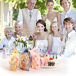 ENNIYU 100 Pieces Moon Star Organza Bags, 4x6“ Mixed Color Christmas Wedding Favors Gift Drawstring Bags Jewelry Pouches Candy Mesh Pouches