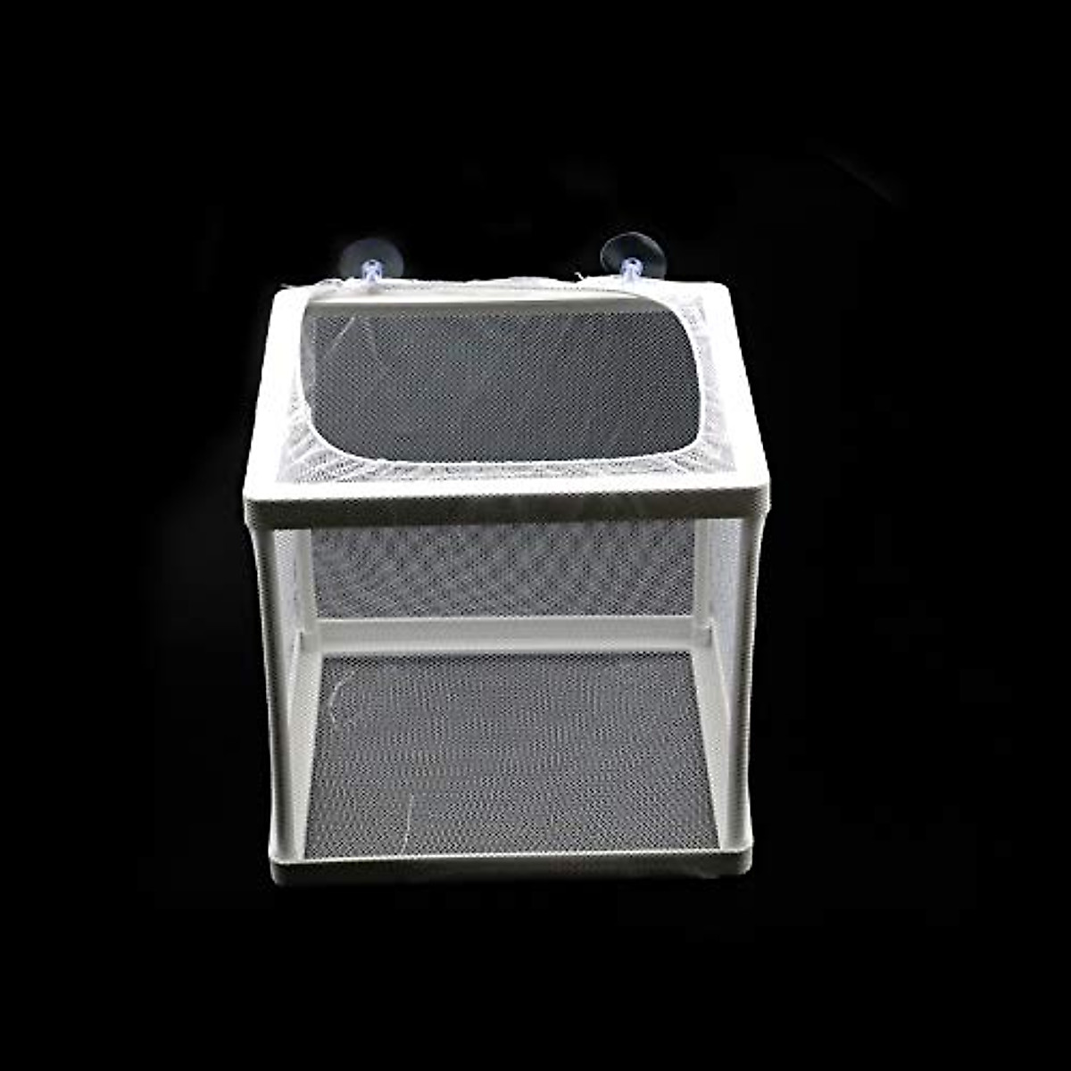 MY MIRONEY 6.3" x 5.63" x 6.22" Fish Incubator Mesh Box Aquarium Fish Breeder Box White Nylon Mesh Juvenile Fish Separation Net Fish Fry Hatchery with Suction Cups Pack of 2