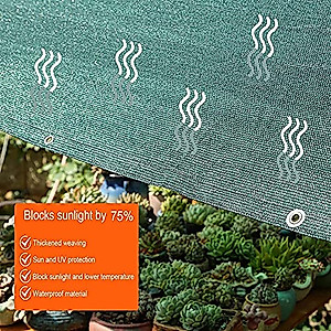 ALBN 75% Shade Netting Sunblock Shade Cloth Net Mesh Tarp HDPE UV-Resistant Protection Plants Flowers Outdoor Shade Screen, with Rope (Color : Green, Size : 3x3m)