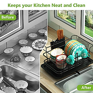 1Easylife Dish Drying Rack, Dish Drainer for Kitchen Rustproof Dish Rack and Drainboard Set with Removable Utensil Holder and Adjustable Swivel Spout, Countertop or in Sink Dry Rack (Black)
