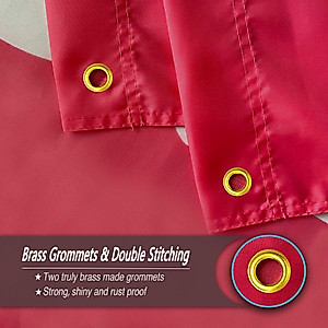 Fuck It We Ball Flag Pink 3x5 Ft Funny Man Cave Wall for Room Teen Girls Indoor Outdoor Bedroom and College Dorm Wall Decor Tapestry Gifts…