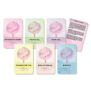 Polyvagal Card Deck: 58 Practices for Calm and Change