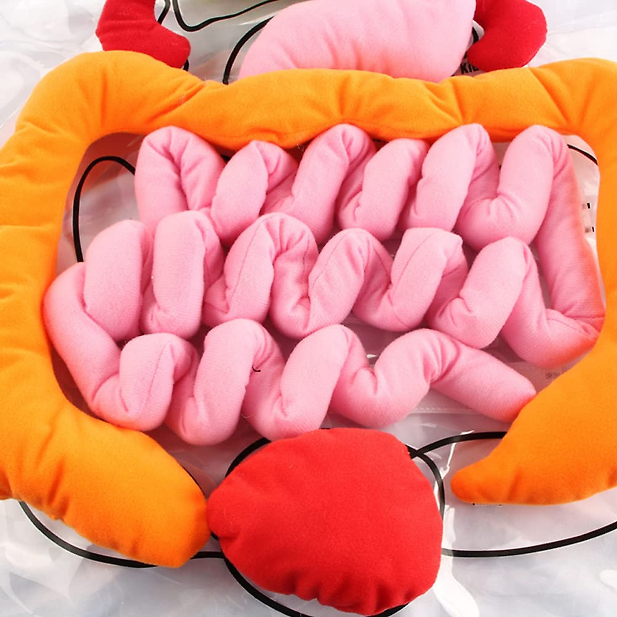 Mikikit 3D Organ Apron Organ Apron: 1 Set Versatile Apron Kindergarten Teaching Anatomy Apron Human Body Organs Awareness Educational Toy Human Internal Organs Teaching Equipment