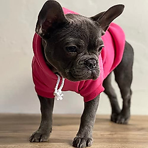 Nervous Do Not Pet Pullover Fleece Lined Dog Hoodie with Leash Hole (Red Hooded Sweatshirt)