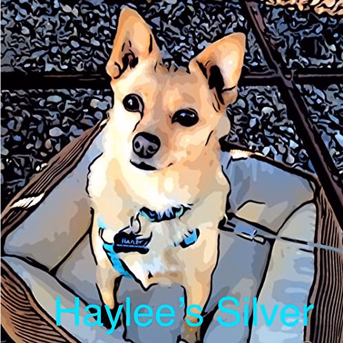 Scooter .925 Sterling Silver 3-D Charm Pendant Motorized Bike Moped Vespa Vehicle New vh17