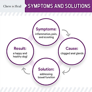 Stop The Scoot Fiber for Dogs - 120 Soft Chews with Pumpkin Powder for Healthy Anal Gland Function - Vet Recommended, Made in The USA