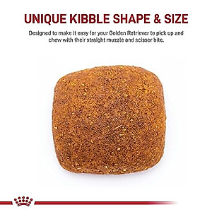 Royal Canin Golden Retriever Adult Dry Dog Food, 17 lb Bag