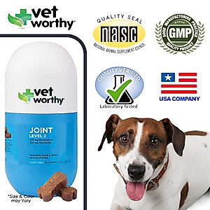 Vet Worthy Joint Support Level 2 | Eases Joint Stiffness Due to Normal Daily Exercise and Activity | Dog Supplement with Glucosamine, Chondroitin, Vitamin C, MSM | Liver Flavor Soft Chews 30 Count