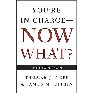 You're in Charge, Now What?: The 8 Point Plan