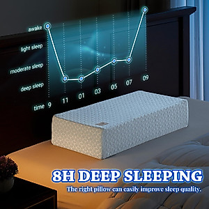 HARBOREST Ice Cube Cooling Pillow for Side Sleepers Memory Foam Side Sleeper Pillow Support Head & Neck for Pain Relief，12"x24"x5"