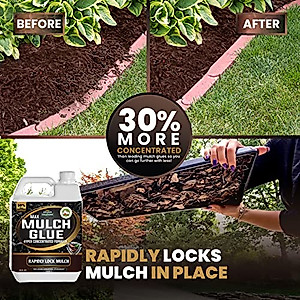 PetraTools Mulch Glue, Mulch Binder Glue, Small Gravel Binder, Landscape Adhesive, Small Gravel Stabilizer, Glue for Landscape, Small Pebble Glue, Landscape Lock (32oz)