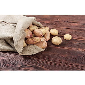 Sandbaggy Small Burlap Bag Wholesale Bulk - Size: 12" x 19" - Sandbags - Sand Bag - 100% Biodegradable - Gift Wedding Bags - Gift Craft Bags (3 Bags)