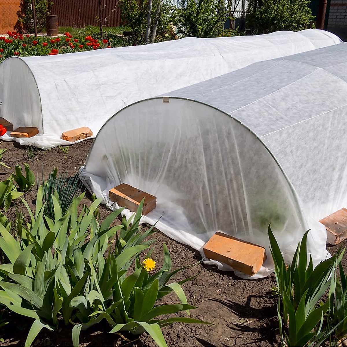 HAINANSTRY Plant Covers Freeze Protection, 10Ft x 30Ft Frost Cloth Plant Freeze Protection, Frost Blankets for Outdoor Plants, Garden Non-Woven Fabrics Plant Cover for Winter Frost Protection