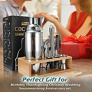 Cocktail Shaker Set, Mixology Bartender Kit 10-Piece Bar Tool Set with Stylish Bamboo Stand, Bar kit: Matini Shaker Mixing Spoon Muddler Jigger Cocksrew for Barware Set