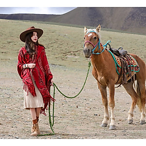 Large Ethnic Style Pashmina Shawls and Wraps for Women Printing Bohemian Extra Long Soft Cashmere Feel Birthday Gifts Throw Warm Winter Womens Fall Scarfs Shawls and Wraps for Wedding Christmas in Red