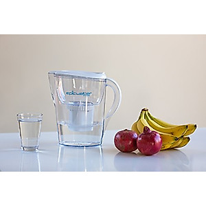 REPLACEMENT FILTER for Epic Pure Water Pitcher or Dispenser / 150 Gallon Long Last Filter | BPA Free.