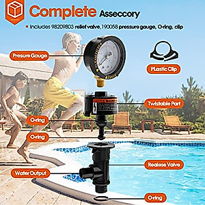 DearChan 98209800 High Flow Manual Relief Valve/Air Relief Manual Valve Assembly with Pressure Gauge, Replacement for Pool and Spa Filter