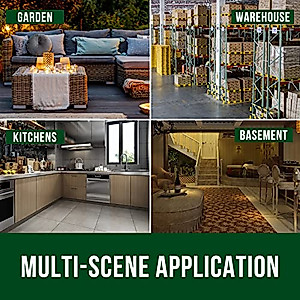 Garsum 6 Pack Mouse Traps Indoor Sticky Glue Board for Mice Roach Spiders Snakes Pest Trap