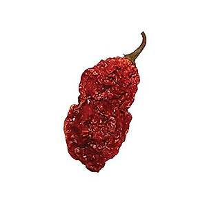 Ultimate Ghost Pepper Hot Sauce Gift Set Hot Spice Gift Pack Wicked Tickle