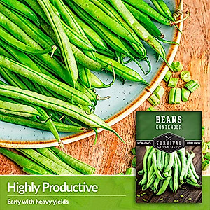 Survival Garden Seeds - Contender Bush Bean Seed for Planting - Packet with Instructions to Plant and Grow Delicious & Stringless Green Beans in Your Home Vegetable Garden - Non-GMO Heirloom Variety