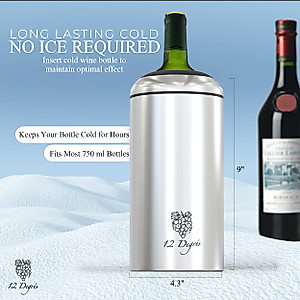 12 Degrés Wine Chiller Set - Perfect Wine Gifts for Women & Men - Stainless Steel Insulated Wine Cooler with Wine Pump, Aerator & 4 Stoppers (Silver)