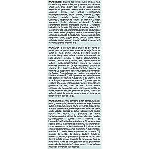 Royal Canin Digestive Care Dry Cat Food, 6 lb. bag