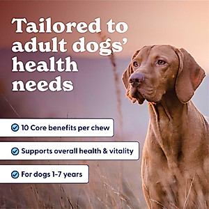 Origin Labs Adult Dog Multifunction Support, Omega 3 Supplement, Gut Health Probiotics, Immune Support, Heart, Skin, Liver, Brain, Joint Health, Glucosamine Chondroitin, Bacon Flavor, 90 Soft Chews