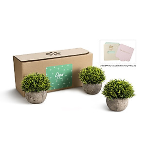 Opps Mini Artificial Plants Plastic Fake Green Grass Topiary Shrubs with Gray Pot for Home Décor – Set of 3
