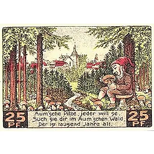 1921 DE Delightlful Century Old German Currency w Elf admiring Giant Mushroom! Original and Authentic Bill! Pfeenigs to 1 Mark About Uncirculated or Better