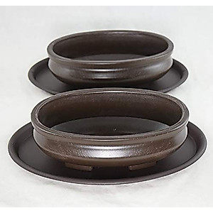 2 Sets Oval Heavy Duty Plastic Cactus & Succulent Planter, Bonsai Training Pot + Tray + Mesh - 7"x 4.5"x 2" Dark Brown