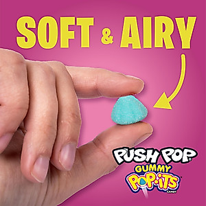 Push Pop Pop-Its Gummy Candy - 8 Count Gummy Candy With Fun, Portable Containers - Fruity Delicious Flavors - Party Favors & Party Candy for Kids - Bulk Assortment of Sweet Gummy Candy