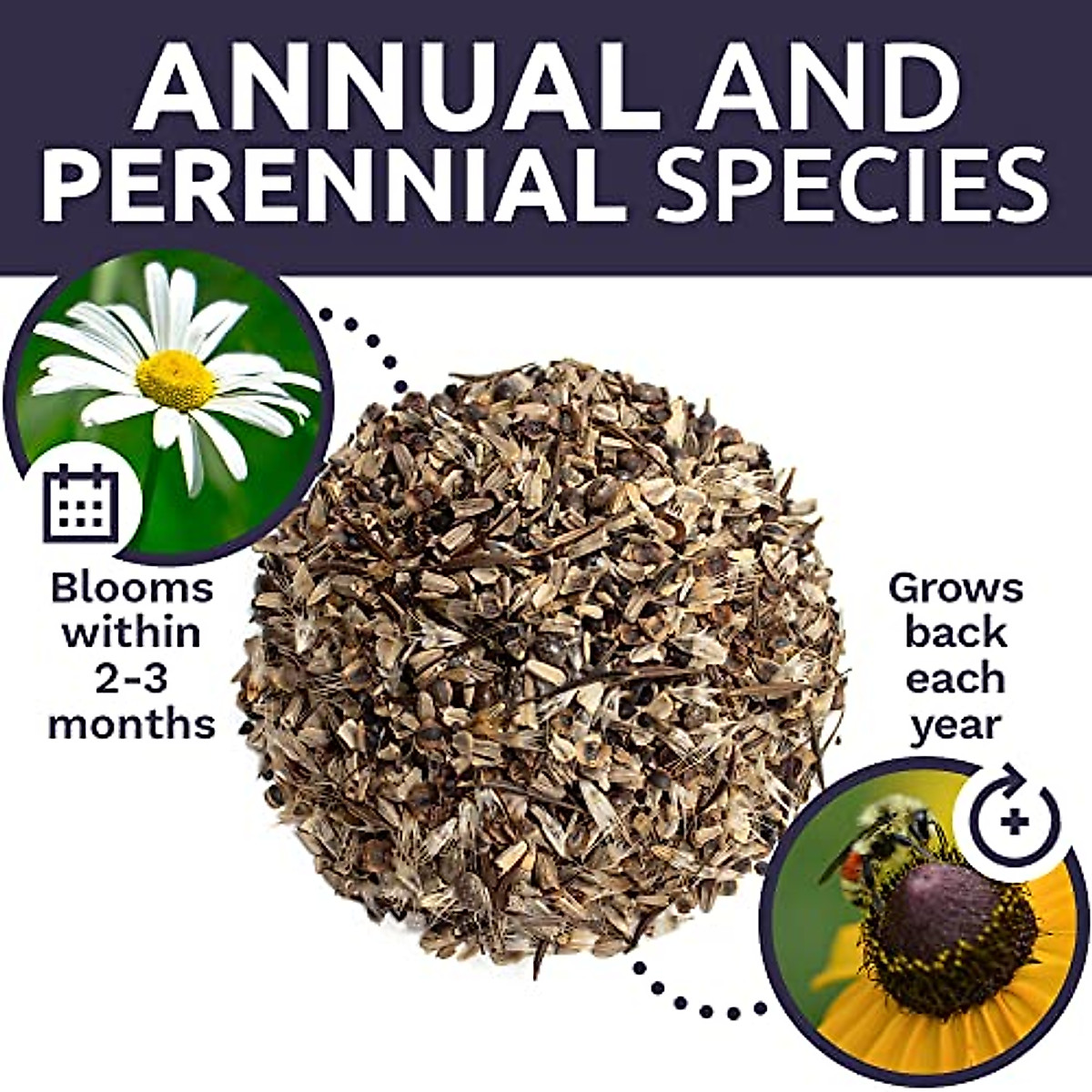 Sweet Yards Seed Co. Cut Flower Garden Seeds - Extra Large 1 Ounce Packet - Over 7,500 Fresh Open Pollinated Non-GMO Wildflower Seeds - Long Lasting Annuals and Perennials with Bright Colors