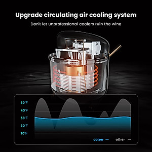 COLOZO 24 Inch Wine Cooler Refrigerator Dual Zone, 46 Bottle Freestanding Built-in Under Counter Mini Cellars Fridge with Stainless Steel &Tempered Glass Door and Temperature Memory Function