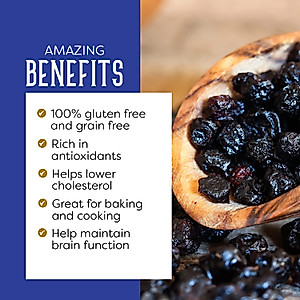 Dried Blueberries No Sugar Added, 2 lbs. Blue Berries Fruit, Dehydrated Blueberries Fresh Dried Blueberries Bulk, Blueberry Raisins. All Natural, Non-GMO, Batch Tested, 2 pounds, By PuroRaw.