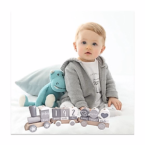 Baby Monthly Milestone Blocks - Wooden Train - 3 Cabins and 17 Removable Blocks - Nursery Decor - Baby Milestone - Milestone Blocks for baby girl and baby boy