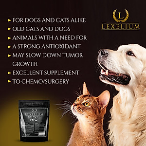 Lexelium Life-Optim Terminal Illness Support Blend for Dogs and Cats | 100% Natural Supplement Powder | Designed to Extend and Improve Quality of Life | 200 Gram Powder Bag