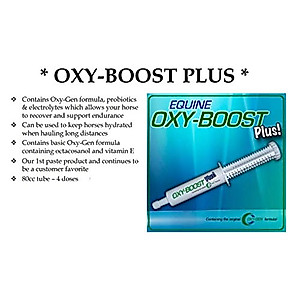 Oxy-Gen Oxy-Boost Probiotic Electrolyte Paste for Horses | Contains Vitamin E, Omega 3, Omega 6 and Octacosanol For Enhanced Performance | 80cc Paste (4 Doses)| Made in USA