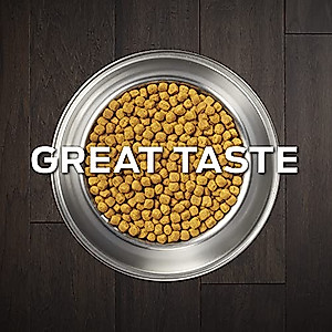 Purina Pro Plan Veterinary Diets EN Gastroenteric Canine Formula Dry Dog Food - 32 lb. Bag