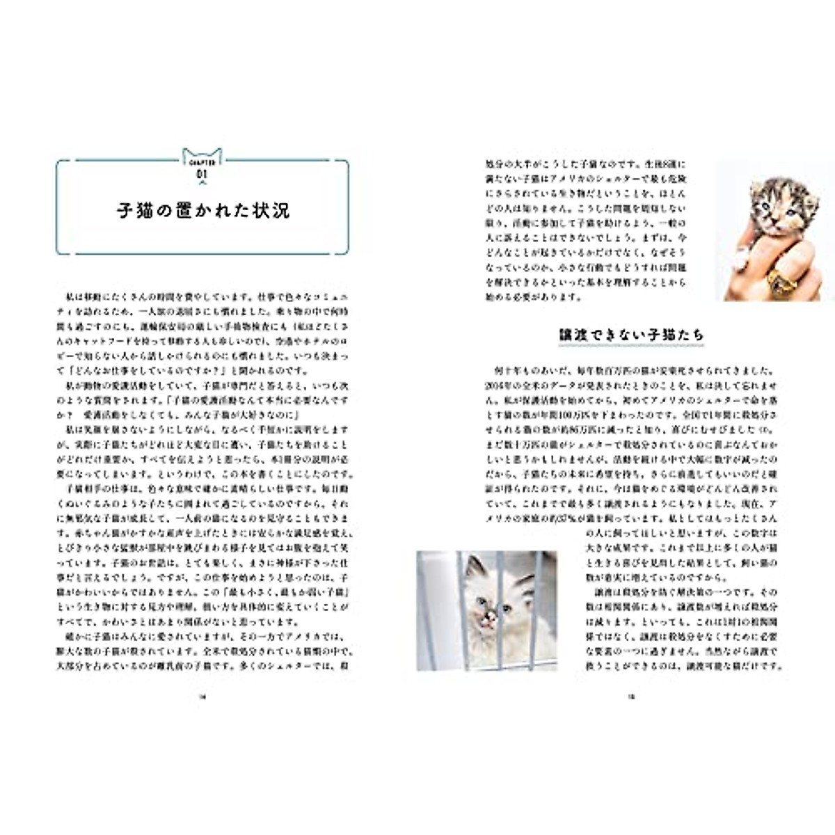 保護猫の育て方
