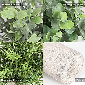 Artificial Plants 3 Pack Mini Fake Plants Fake Hanging Plants Artificial Decor with 3 Macrame Plant Hangers Decorative Plants Faux Hanging Plants Greenery Decor for Wall Kitchen Bathroom Home Office