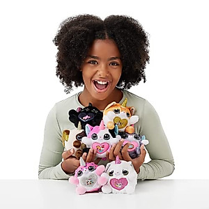 Rainbocorns Kittycorn Surprise Series 1 (Chinchilla Cat) by ZURU, Collectible Plush Stuffed Animal, Surprise Egg, Sticker Pack, Jelly Slime Poop, Ages 3+ for Girls, Children