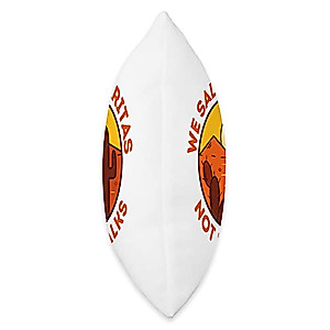 Arizona Snowbird Gifts We Salt Margaritas not Sidewalks Throw Pillow, 16x16, Multicolor