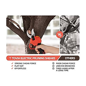 Cordless Pruning Shears, Electric Pruner with 2 Pack 21V Lithium Battery, SK5 Blades, 1.2 Inch Cutting Diameter (21V pruner)