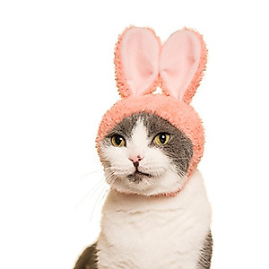 Kitan Club Cat Cap - Pet Hat Blind Box Includes 1 of 5 Cute Styles - Soft, Comfortable - Authentic Japanese Kawaii Design - Animal-Safe Materials, Premium Quality (Rabbit)