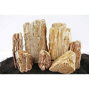 Lifegard Aquatics Aquascaping Burma Petrified Stone Mix Size Kit – Decorative Aquarium Rocks, Fish Tanks – 10 Lbs