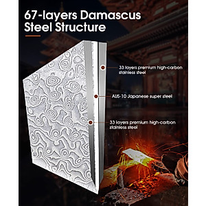 Huusk Japan Knife 8.27 Inch Razor Sharp Kitchen Knives Bundle with Boning Knife for Meat Cutting