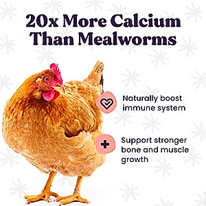 Foragers Feed Whole Dried Black Soldier Fly Larvae, Sustainable Chicken and Livestock Feed for Animal Health, 1 Lb Resealable Bag