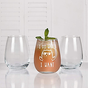 I Do What I Want Funny Wine Glass, Cat Stemless Wine Glass - Cat Lover Gifts for Women, Men, Cat Dad, Cat Mom, Cat Lover, Friends - Gift Idea for Christmas, Birthday