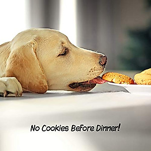 PETMAKER Freestanding Pet Gate - Wooden Folding Fence for Doorways, Halls, Stairs & Home - Step Over Divider - Great for Dogs & Puppies