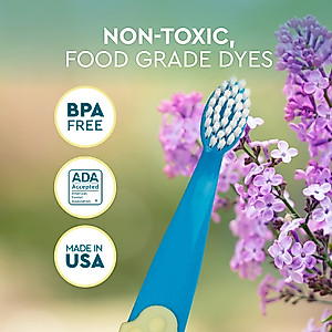 RADIUS Totz Plus Brush Kids Toothbrush Silky Soft BPA Free ADA Accepted Designed for Delicate Teeth & Gums for Children 3 Years & Up - MintCoolGrey - Pack of 1